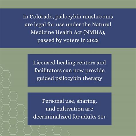 Go Within Collective Lakewood Co