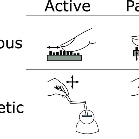 Classification Of Haptic Interaction According To The Exploration