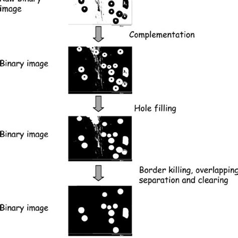 Basic Particle Image Processing Download Scientific Diagram