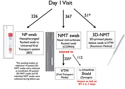 Figure 1 From Practical Strategies For Sars Cov 2 Rt Pcr Testing In