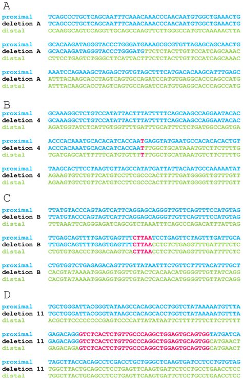 Multiple Sequence Alignment Of 4 Exemplary Junctions The Junctions Of