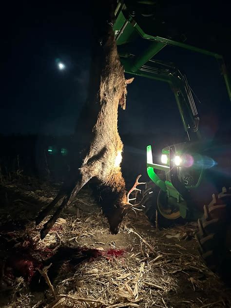 2025 Elk Hunt 24hourcampfire
