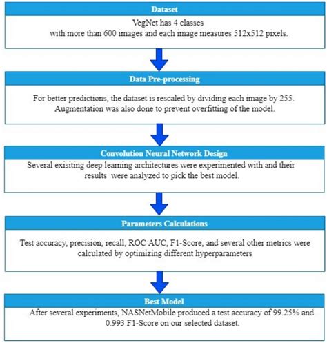 Automatic Cauliflower Disease Detection Using Fine Tuning Transfer