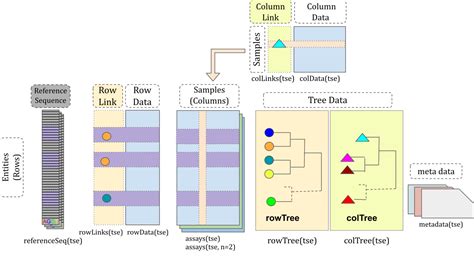 Chapter 5 Importing Microbiome Data Introduction To Microbiome Data