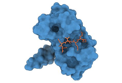 Protein Peptide Docking Using Residue Restraints Lightdock