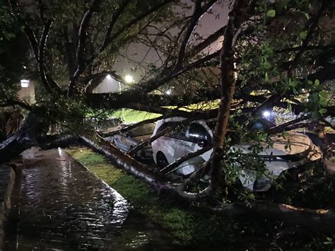 雨炸北臺北投警不畏風雨 暗夜排除河堤倒塌路樹