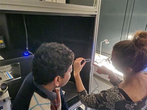 Lab Shadowing Bridging Biology And Computation In Spinal Cord Regeneration Crc 1540 Exploring