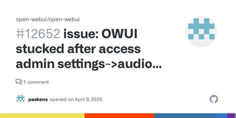 Issue Owui Stucked After Access Admin Settings Audio Or Click Read Aloud Button Custom While