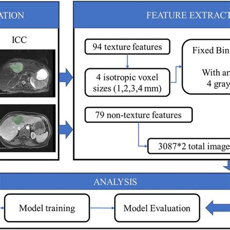 Workflow For Radiomics Feature Extraction Physicians Segmented The Download Scientific Diagram