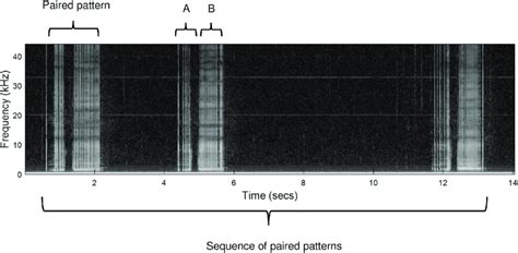 Sample Spectrogram Showing Definition Of Repeated Paired
