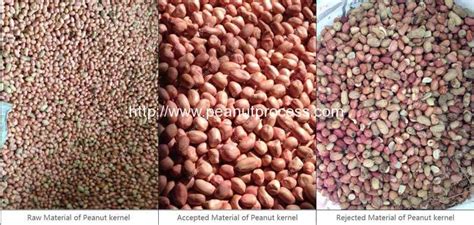 Automatic Peanut Color Sorting Machine Peanut Processing Machine