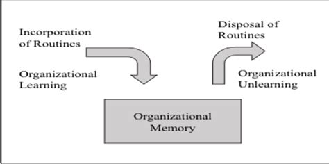 Figure 1 From Organizational Learning And Unlearning In Footwear