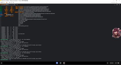 Fyde Os For Vmware无法磁盘扩容 求助答疑 Community
