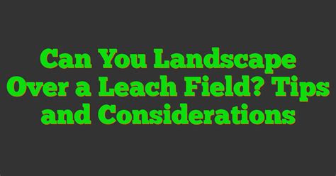 Can You Landscape Over A Leach Field Tips And Considerations Can You Landscape Over A Leach Field Tips And Considerations