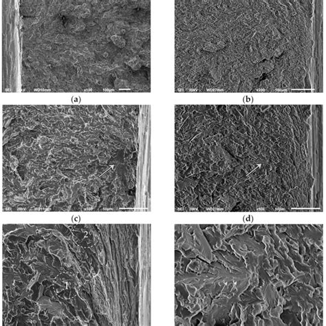 Sem Micrographs Of The Fracture Surfaces A Macroscopic Markings