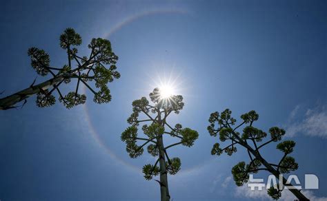 주말까지 최고 38도 더위 심화 가능성도폭염·열대야 일수 역대 2위