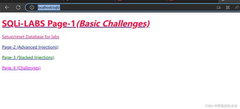 Sqli Labs Master靶场搭建以及报错解决 Csdn博客