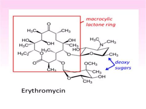Erythromycin Pptx