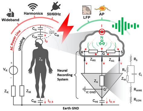 Biosensors Free Full Text Modeling And Analysis Of Environmental Electromagnetic