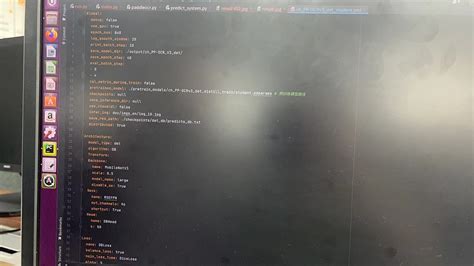 文本检测不出来是什么原因 Issue PaddlePaddle PaddleOCR GitHub
