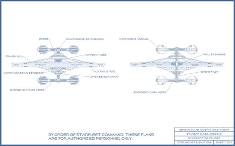 cheetah blueprint sheet 3 by adrasil on deviantart