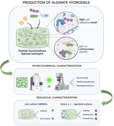 Chemistry A European Journal Vol 30 No 47 Chemistry Europe