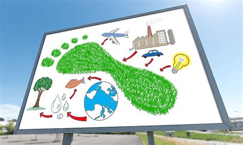 What Is An Ecological Footprint WorldAtlas