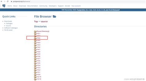Postgresql 146二进制部署postgresql二进制包下载 Csdn博客
