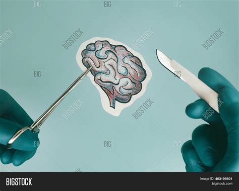 Complex Operation On Image And Photo Free Trial Bigstock