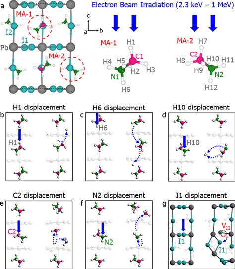 A Unit Cell Of Tetragonal Mapbi 3 The Nonequivalent C N H Pb Download Scientific