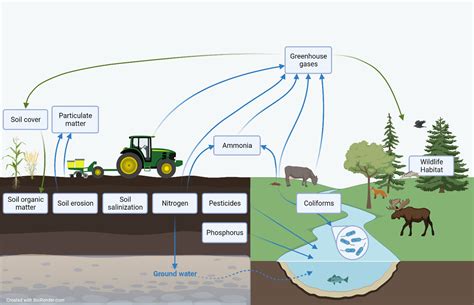 Soil Salinization Agriculturecanadaca