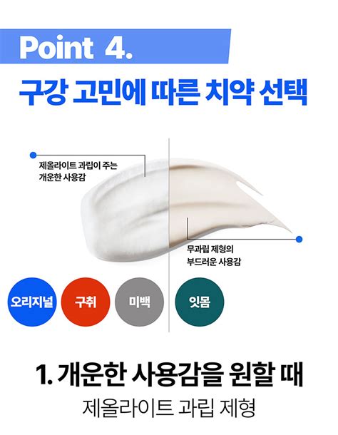 메디안 치석 치약 120g 12입칫솔 4입 옵션