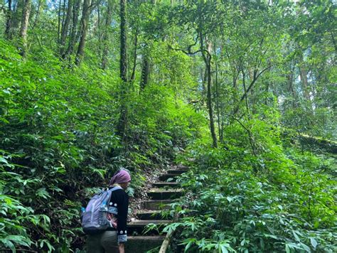 치앙마이 도이인타논 국립공원 2시간 트래킹 투어 난이도 선택 가능 입장료 점심포함 카렌족 커피농장 와치라탄 폭포 Kkday