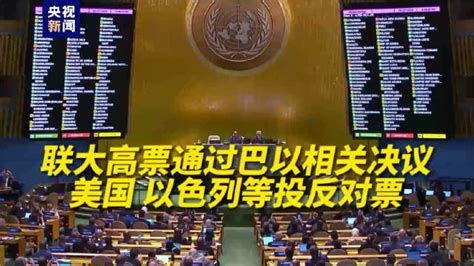 联合国大会高票通过巴以相关决议草案 美以等国投反对票联合国大会巴以国投新浪新闻