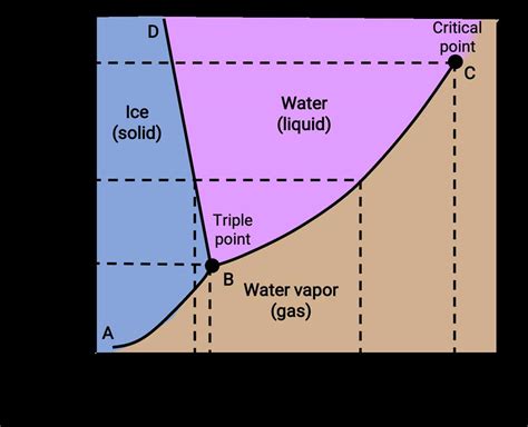 Contrasting Phase Diagrams Of Water And Carbon Dioxide