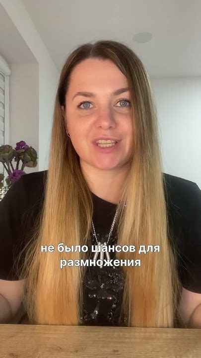 ИДЕАЛЬНЫЕ УСЛОВИЯ ДЛЯ КАНДИДЫ кандидоз кандида молочница