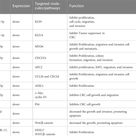 The Biological Origin Of Circrna A Intron Pairing Driven Download Scientific Diagram