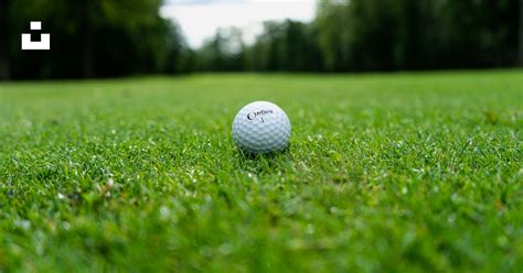 낮 동안 푸른 잔디 필드에 흰색 골프 공 사진 Unsplash의 무료 골프 이미지