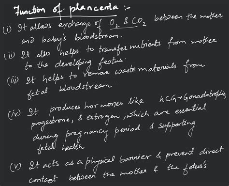 What Is The Function Of Placenta Filo
