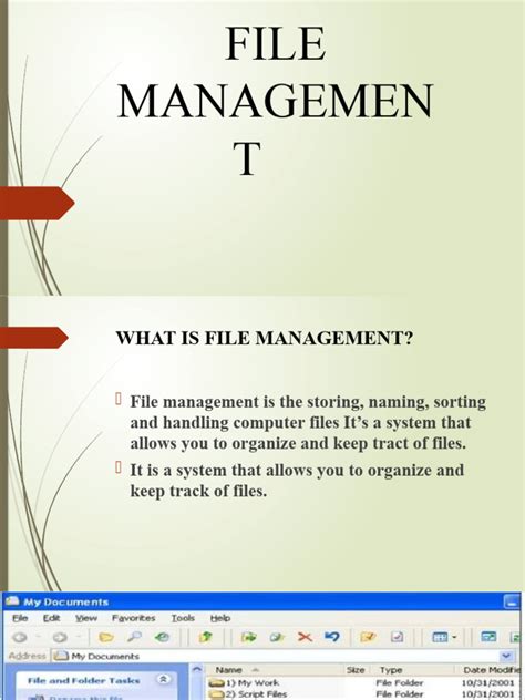 file management pdf