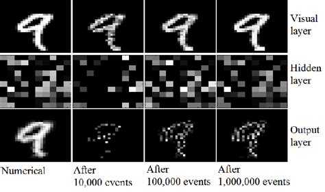 comparisons between numerical and spiking behavior simulation results