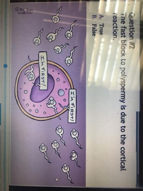 Solved Question 2 The Fast Block To Polyspermy Is Due To