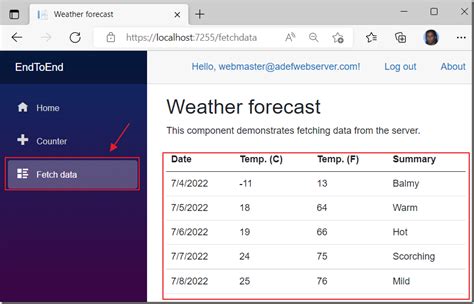 creating a step by step end to end database client side webassembly blazor application