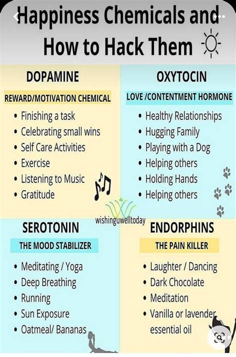 Metacognition Materials Artofit