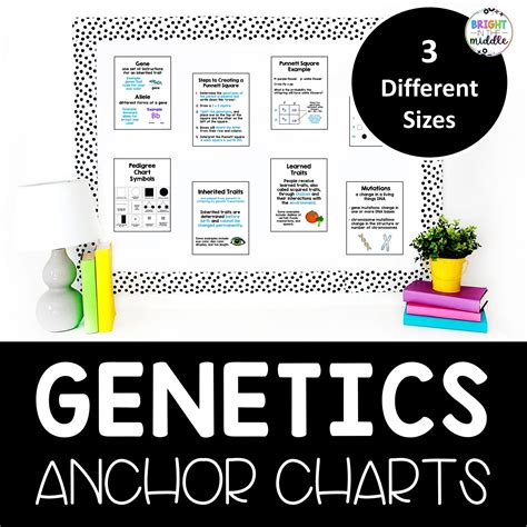 Genetics Anchor Chart Posters 3 Sizes Bright In The Middle Genetics Anchor Chart Posters 3 Sizes Bright In The Middle