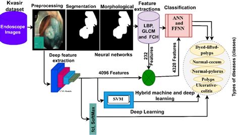 The General Methodology For Diagnosing Lower Gi Disease Dataset