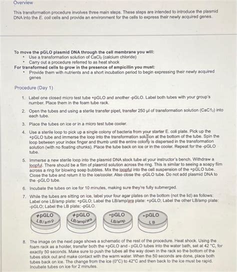 Solved Introduction Transformation Genetic Transformation