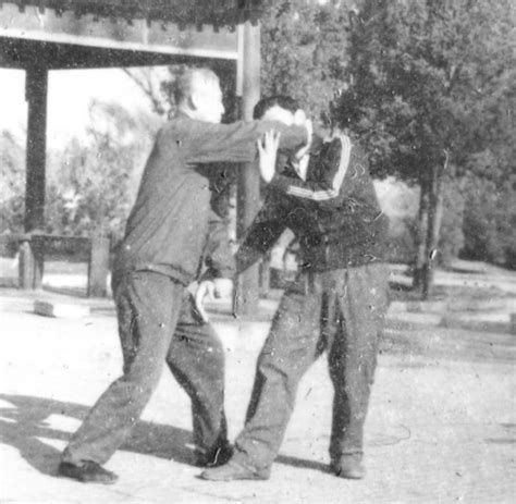 Wang Shi Tong Performs The 64 Hands Straight Line Method Line 5