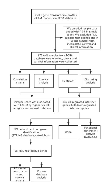 Screening The Cancer Genome Atlas Database For Genes Of Prognostic Value In Acute Myeloid