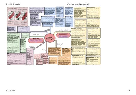 SOLUTION Concept Map Exemplar Studypool